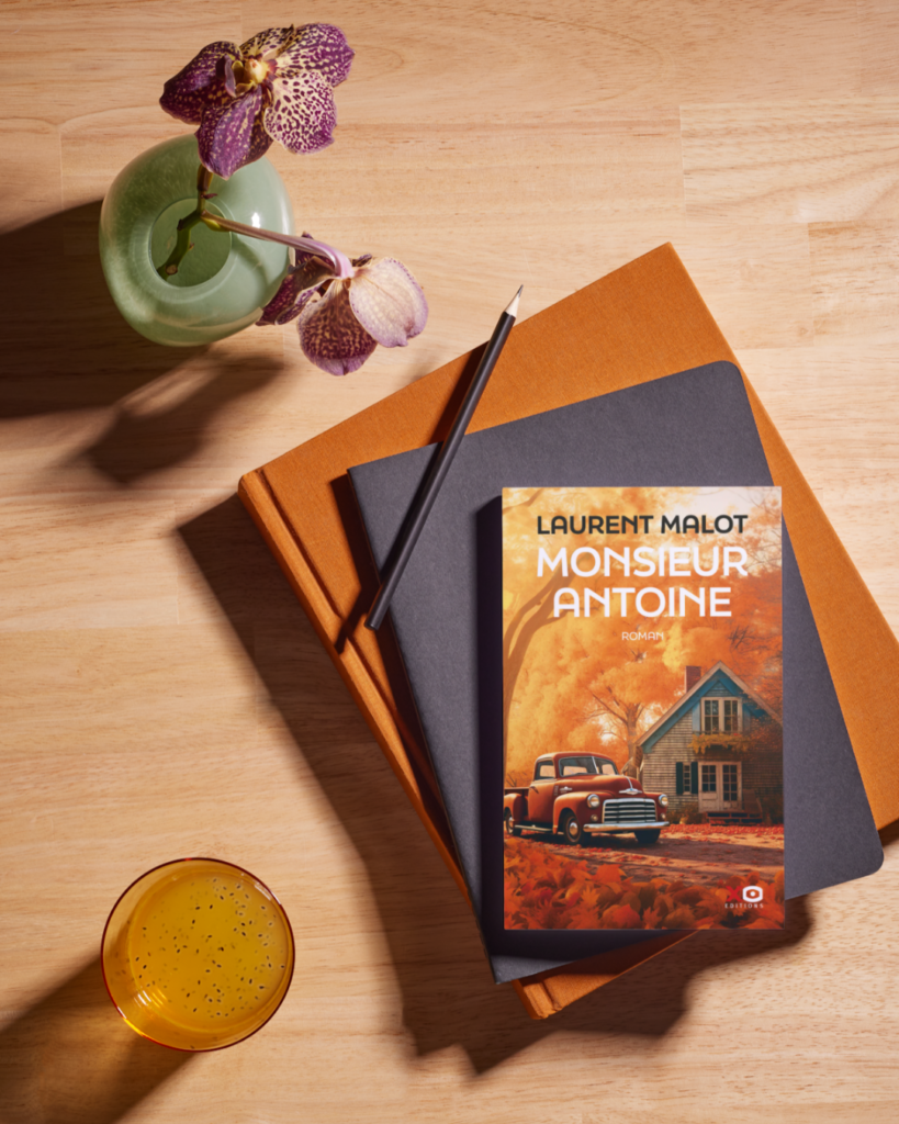 Monsieur Antoine _ Laurent Malot